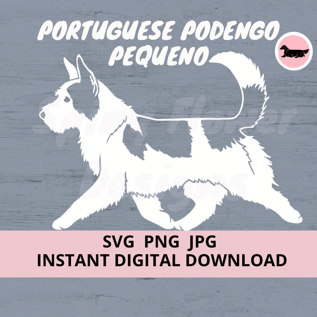 Portuguese Podengo Pequeno Dog Gaiting Digital Download SVG JPG PNG ...