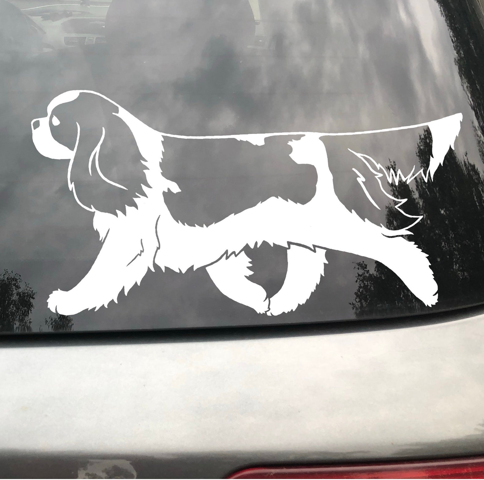 Cavalier King Charles Spaniel Dog Vinyl Decal / Bumper Sticker | Etsy