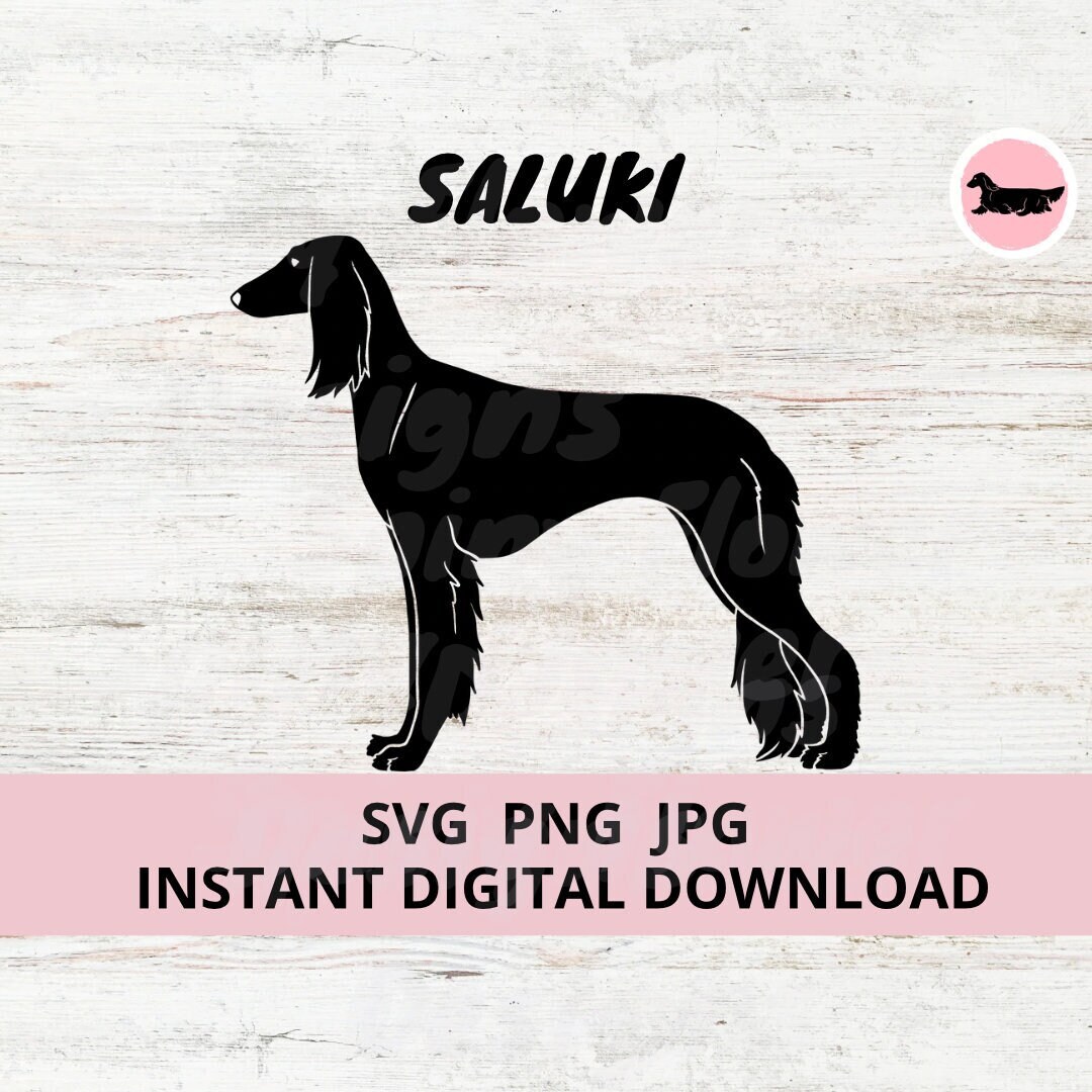 Saluki Dog Digital Download SVG JPG PNG Clipart - Etsy