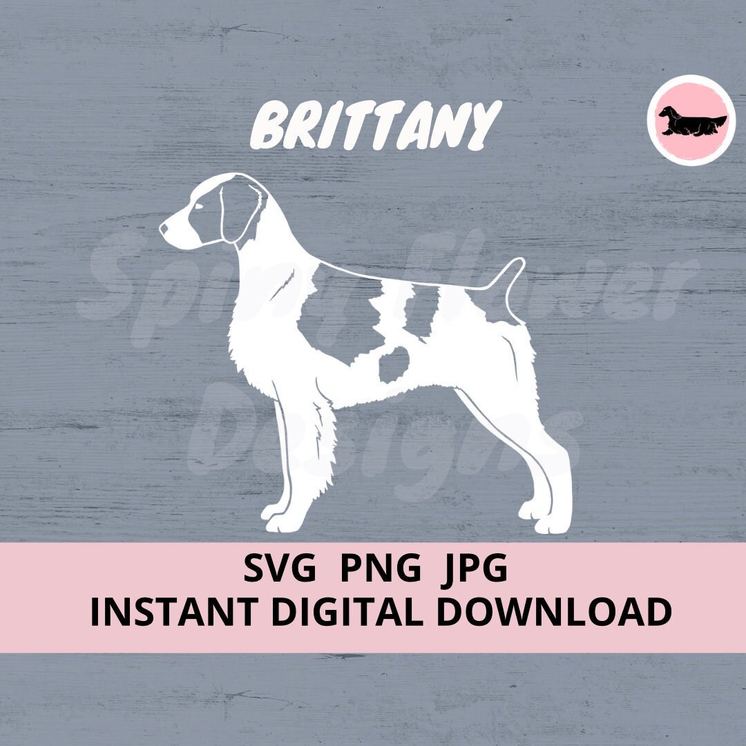 Brittany Dog Digital Download SVG JPG PNG Clipart - Etsy