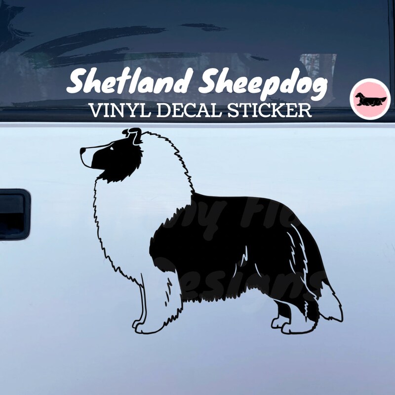 Black Sheltie - Etsy