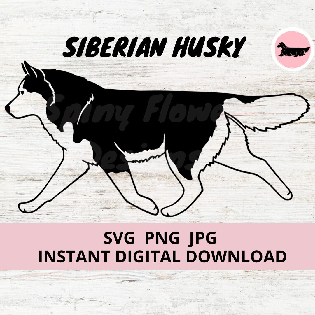 Siberian Husky Dog Gaiting Digital Download SVG JPG PNG - Etsy