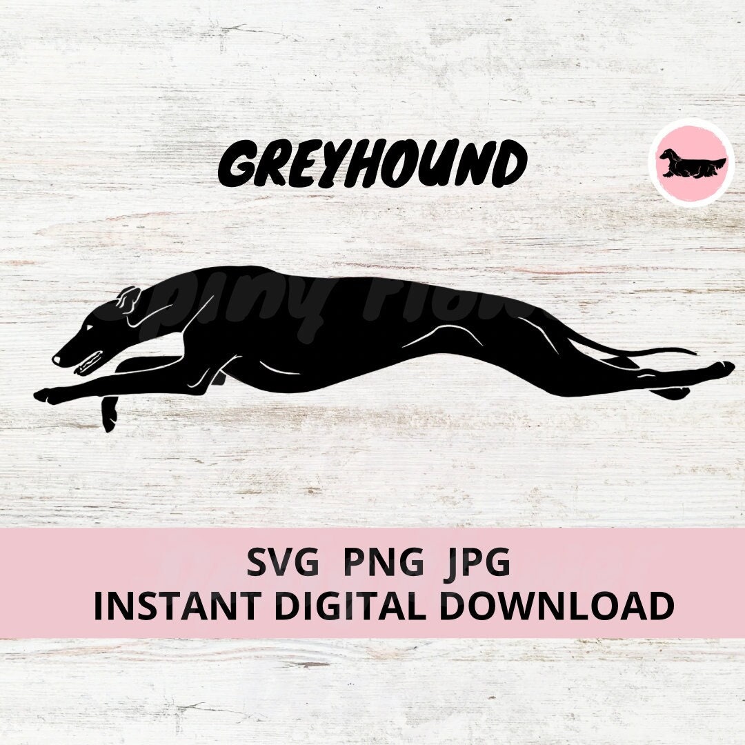 Greyhound Dog Coursing Digital Download SVG JPG PNG Clipart - Etsy