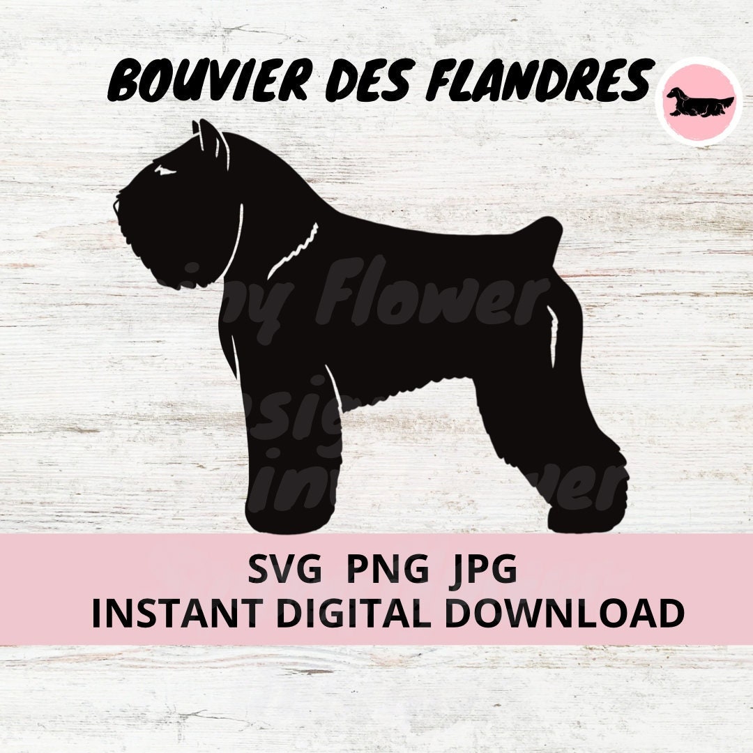 Bouvier Des Flandres Dog Standing Digital Download SVG JPG PNG Clipart ...