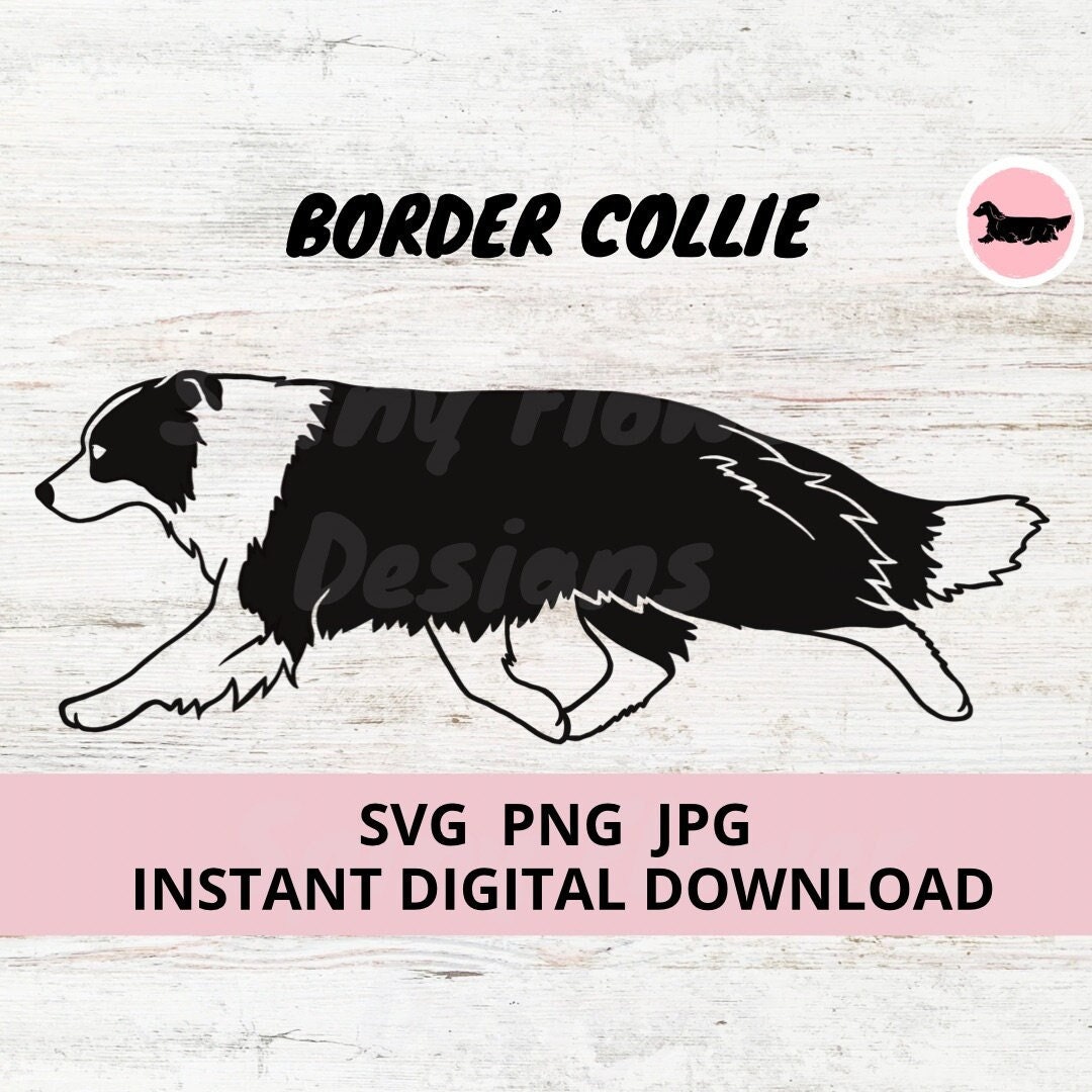 Border Collie Dog Gaiting Digital Download SVG JPG PNG Clipart - Etsy