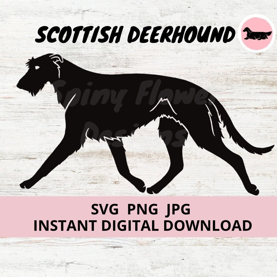 Scottish Deerhound Dog Gaiting Digital Download SVG JPG PNG Clipart - Etsy