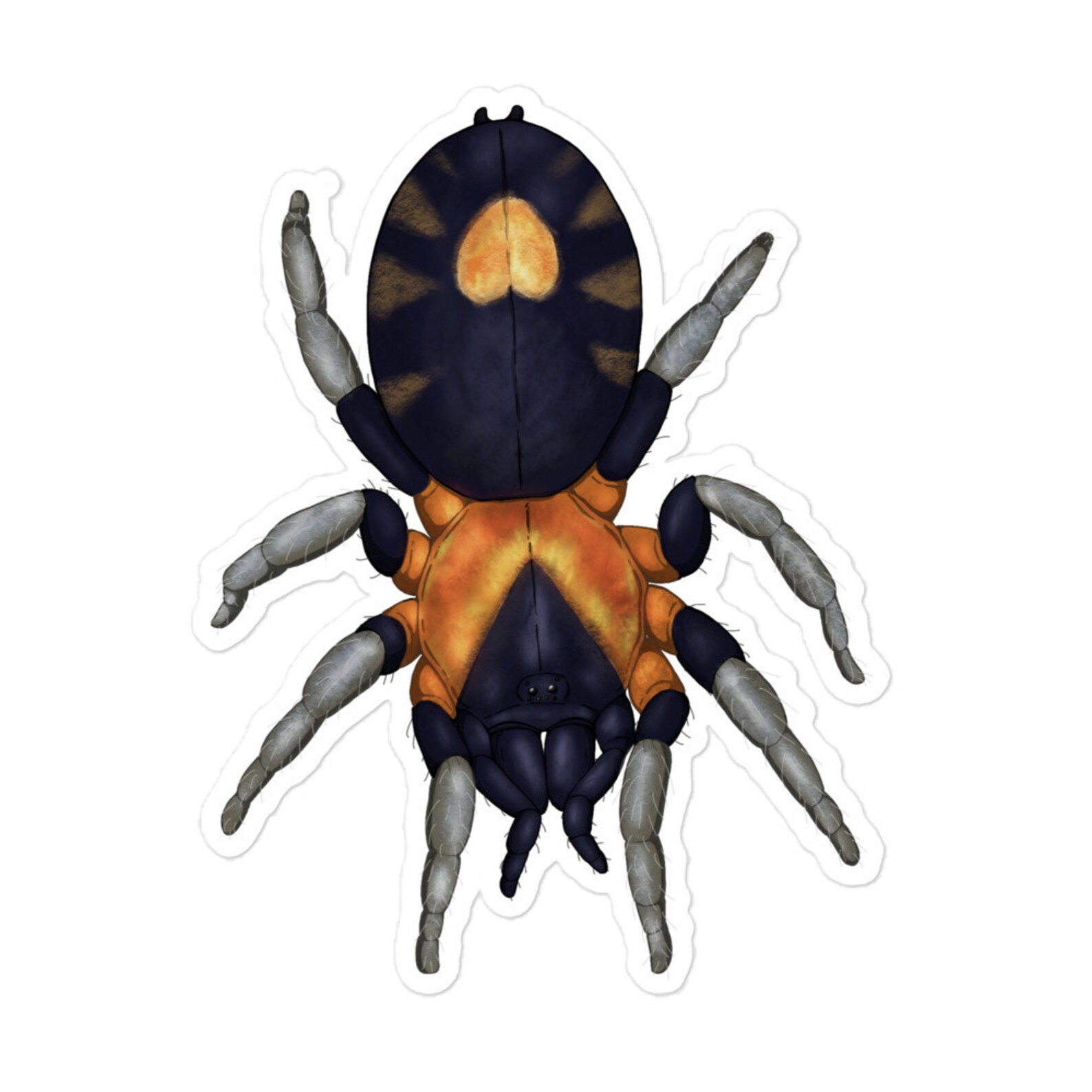 Heart Butt Trinidad Dwarf Tarantula Spider Sticker Etsy
