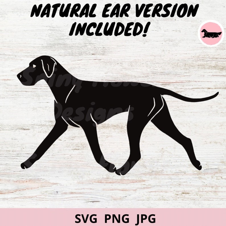 Great Dane Dog Gaiting Digital Download SVG JPG PNG Clipart - Etsy