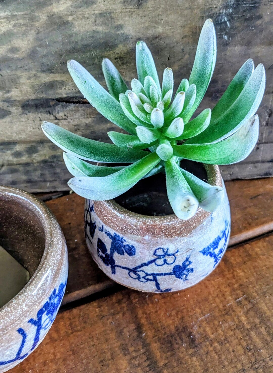 Set of 2 Chunky Little Pots or Tea Cups in Natural Clay With Blue and ...