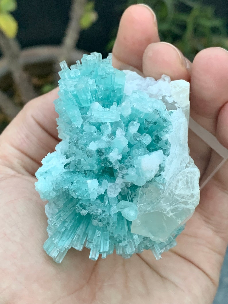 Amazing Blue Tourmaline Specimen Combine With Albite - Etsy