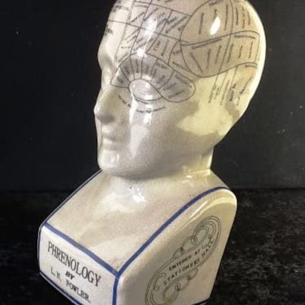 Phrenology Head - Etsy