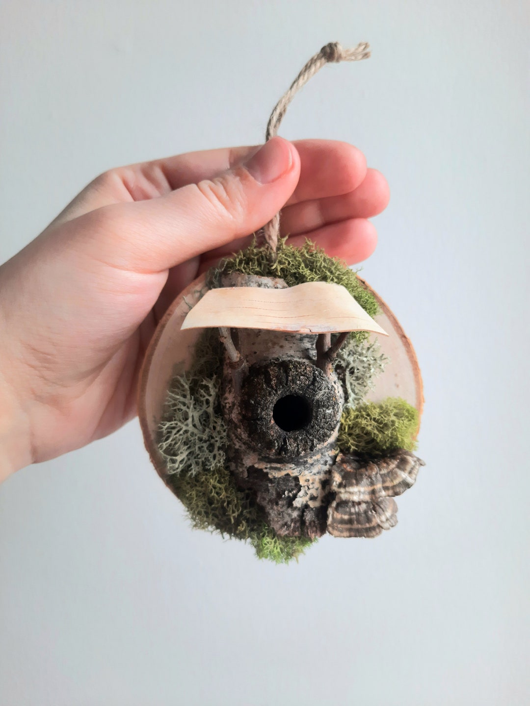 Small Fairy Fae House Natural Mysterious Wall Home Decor, Wood, Green ...