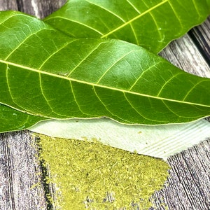 Mango Leaf Tea - Pure Herbal Tea Series by Palm Beach Herbals (30 Tea ...