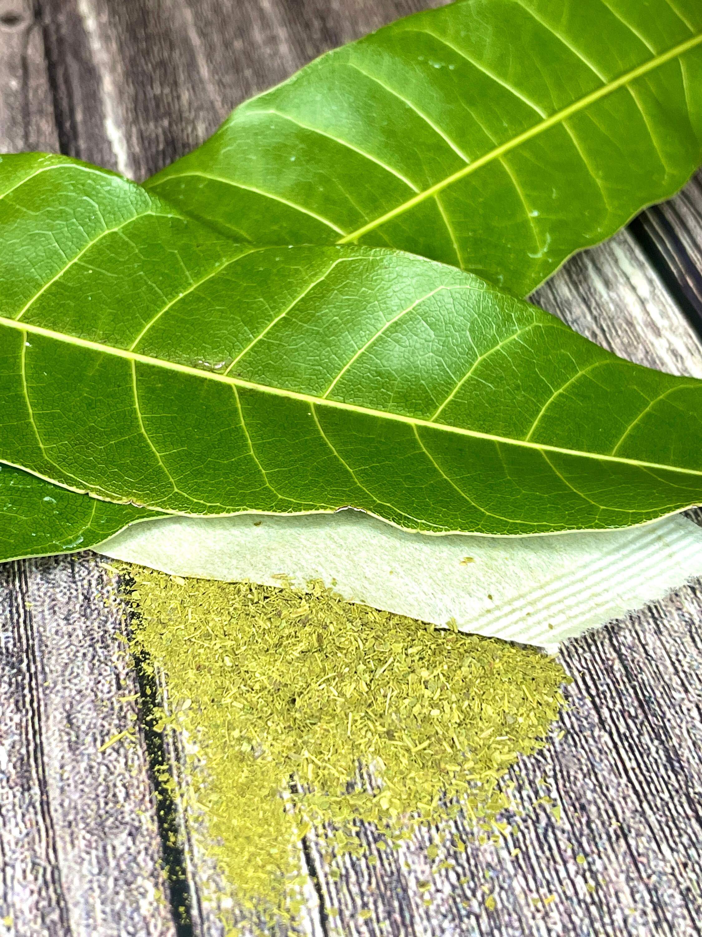 Mango Leaf Tea Pure Herbal Tea Series by Palm Beach Herbals - Etsy