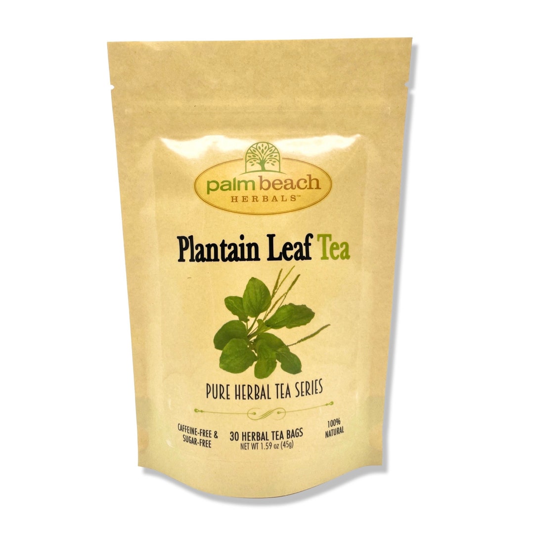Plantain Leaf Tea - Pure Herbal Tea Series by Palm Beach Herbals (30 ...