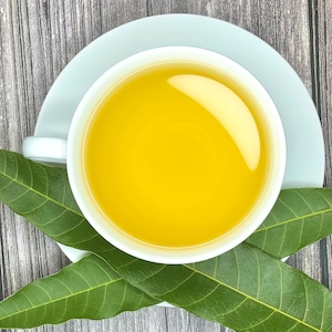 Mango Leaf Tea - Pure Herbal Tea Series by Palm Beach Herbals (30 Tea ...
