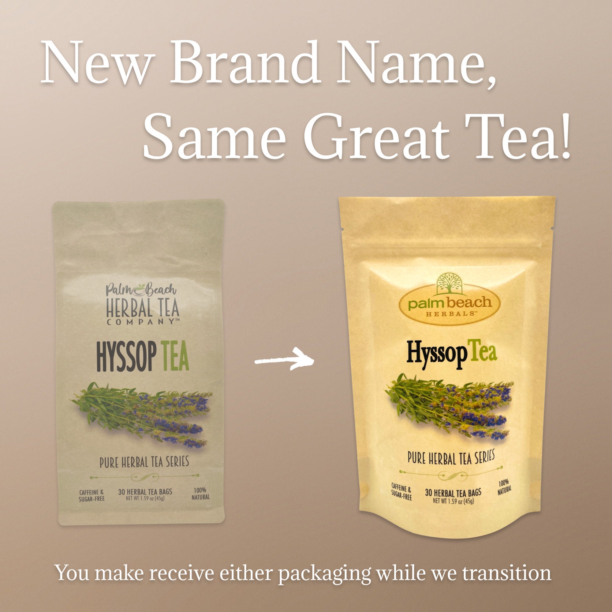 Hyssop Tea Pure Herbal Tea Series by Palm Beach Herbals 30 Tea Bags 100 ...