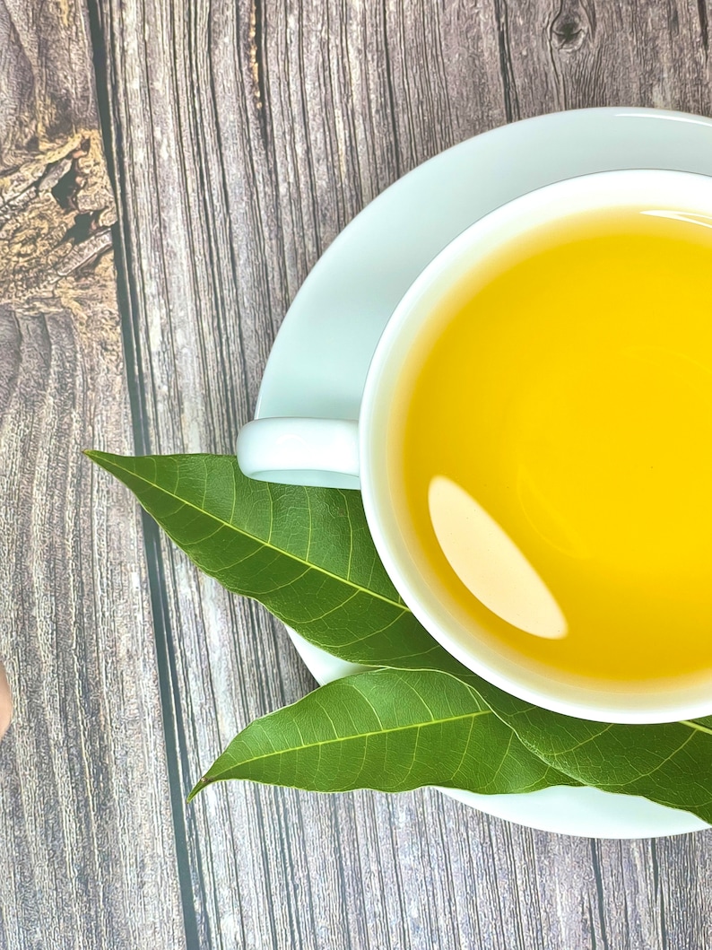 Mango Leaf Tea - Pure Herbal Tea Series by Palm Beach Herbals (30 Tea ...
