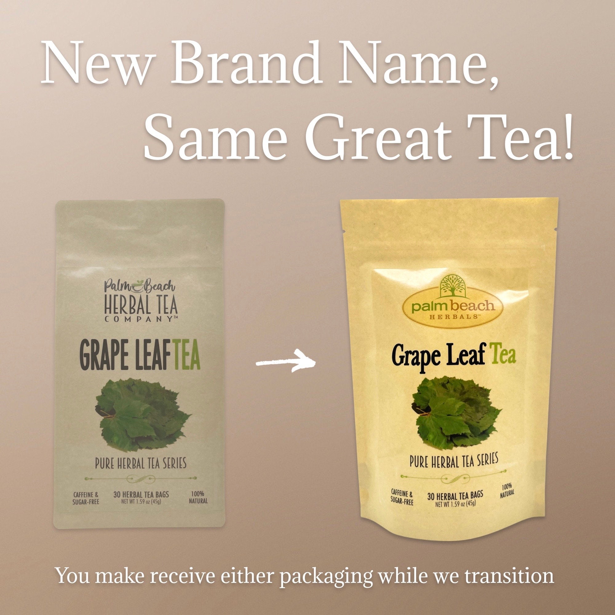 Grape Leaf Tea Pure Herbal Tea Series by Palm Beach Herbals 30 Tea Bags ...