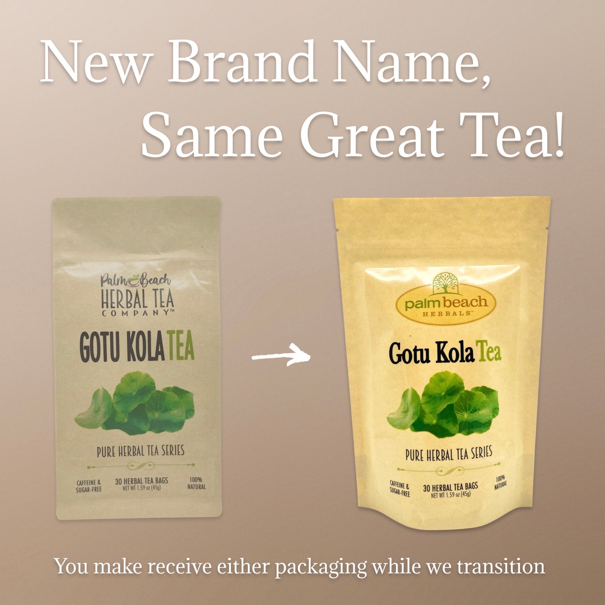 Gotu Kola Tea Pure Herbal Tea Series de Palm Beach Herbals 30 bolsitas ...