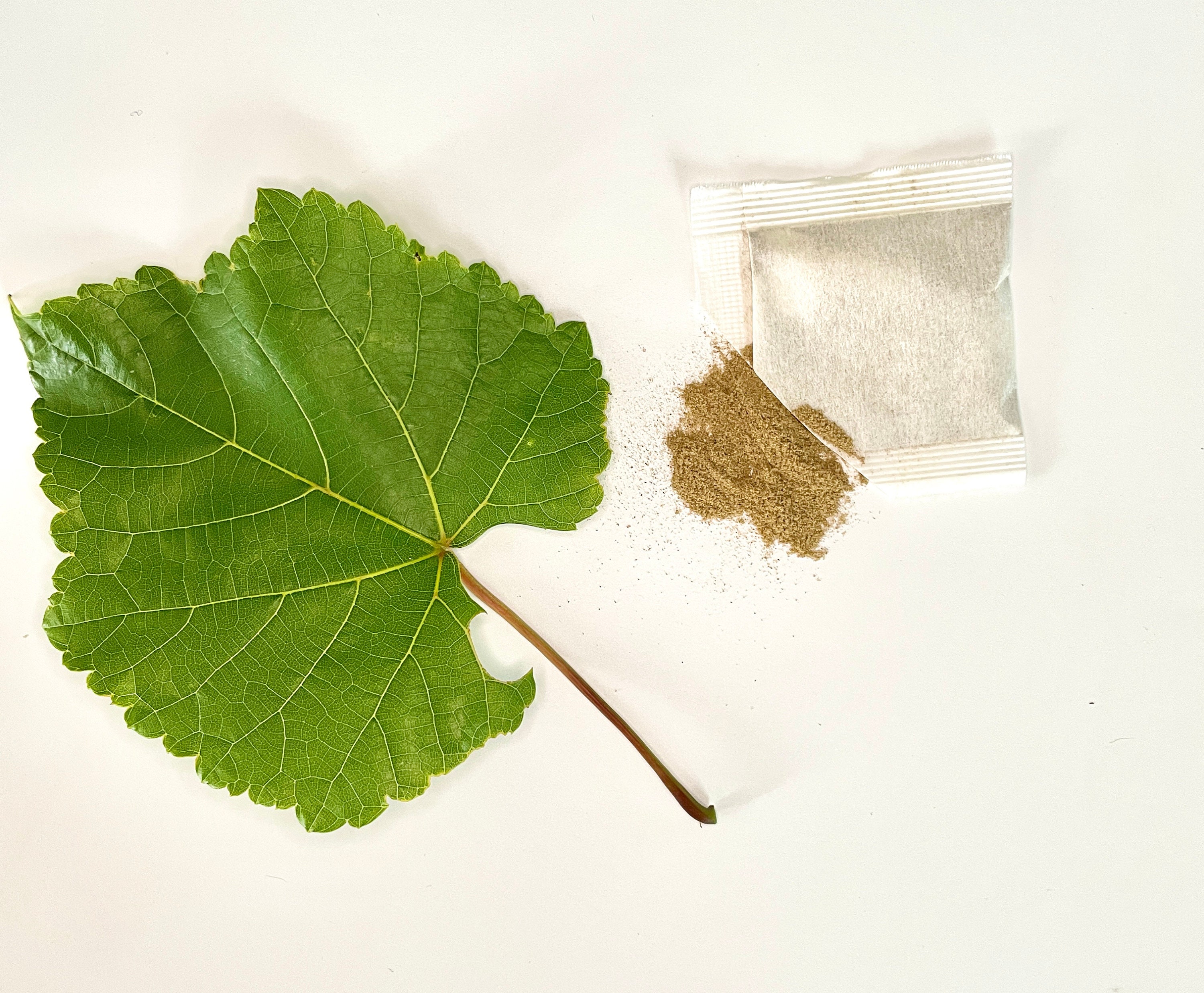 Grape Leaf Tea Pure Herbal Tea Series by Palm Beach Herbals 30 Tea Bags ...