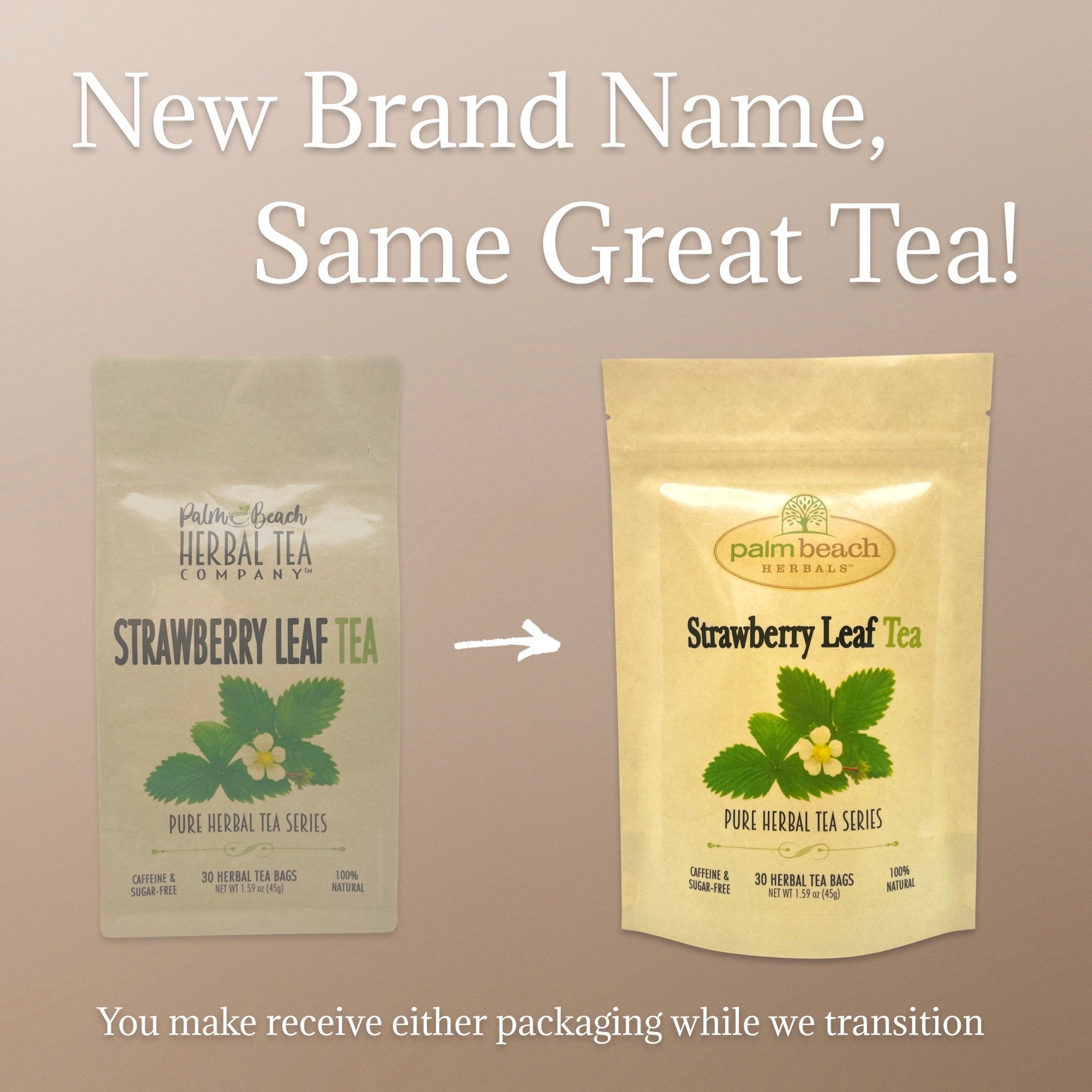 Strawberry Leaf Tea Pure Herbal Tea Series by Palm Beach - Etsy