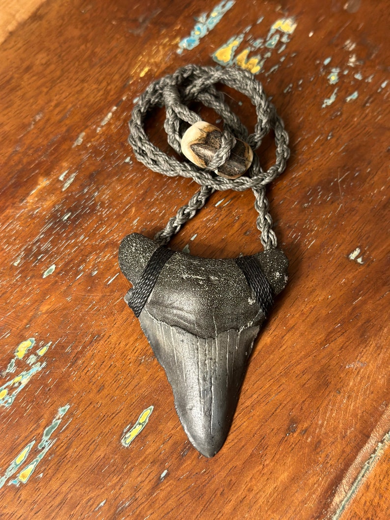 Real Handmade Lei Māno Megalodon Shark Tooth Hawaiian Style - Etsy