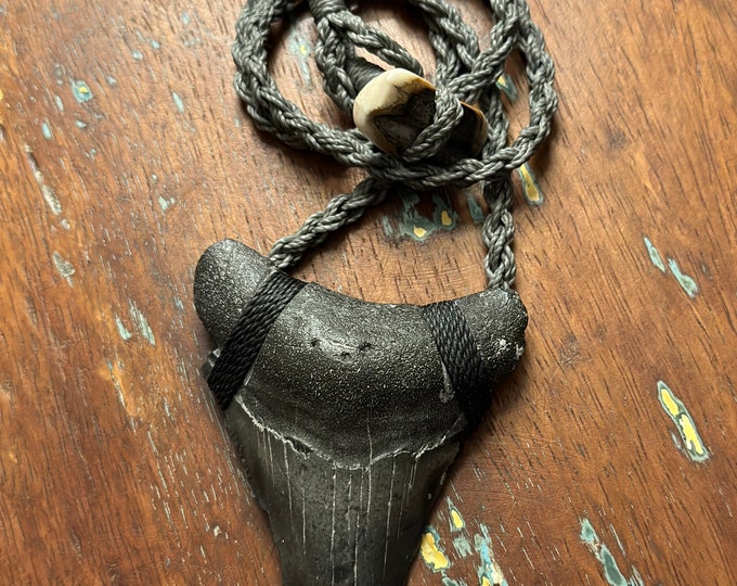 Real, Handmade Lei Māno Megalodon Shark Tooth Hawaiian Style Necklace ...