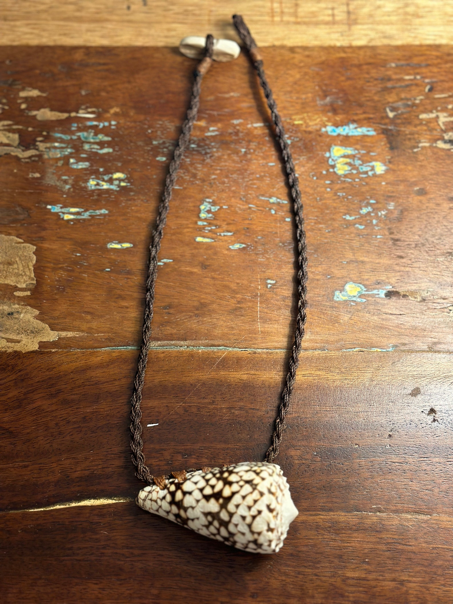 Hawaiian Banded Marble Cone Shell XL Men's or Women's - Etsy