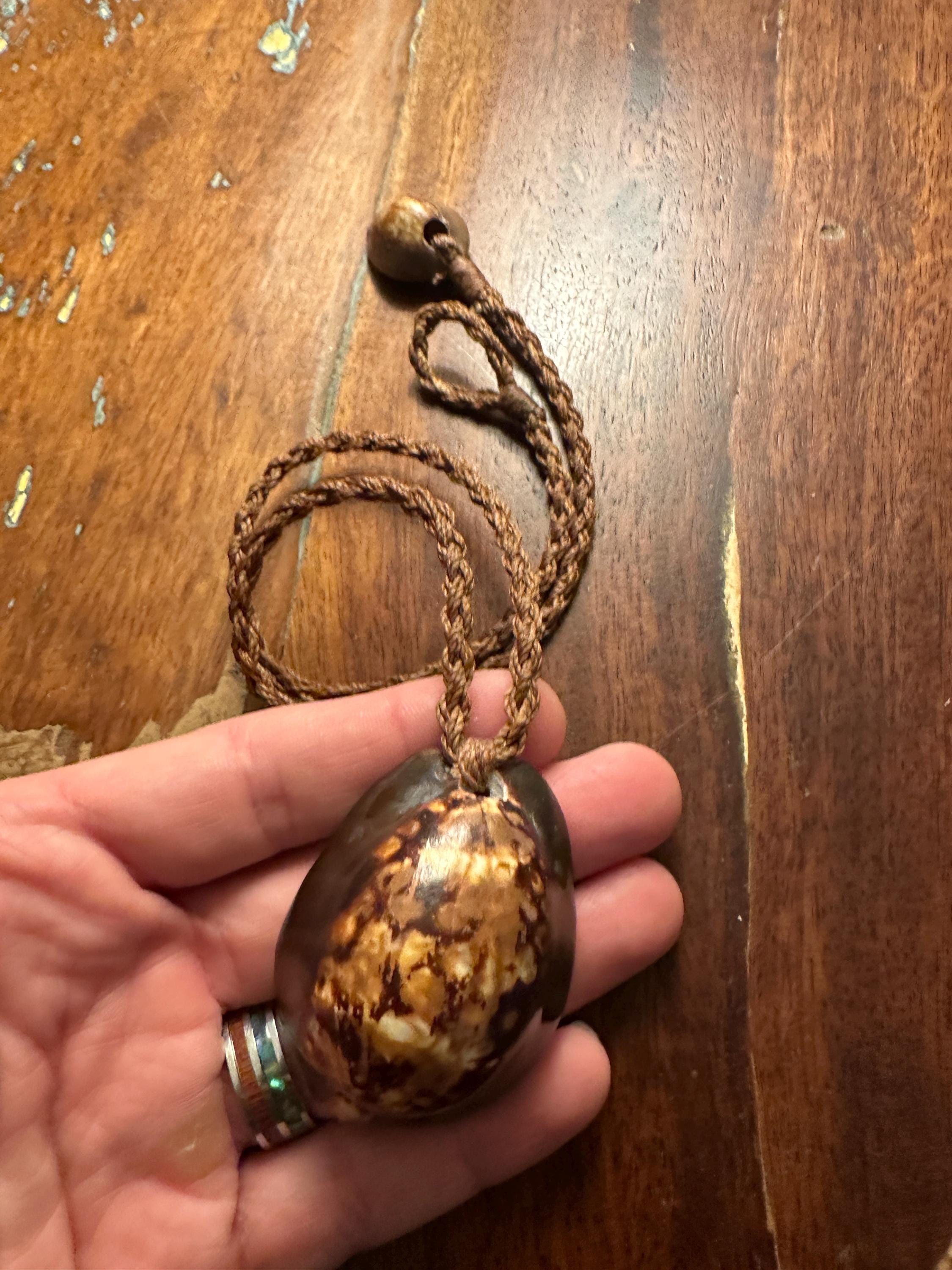 Women’s or Men’s Unique Hawaiian Humpback Cowrie Shell Lei - Etsy
