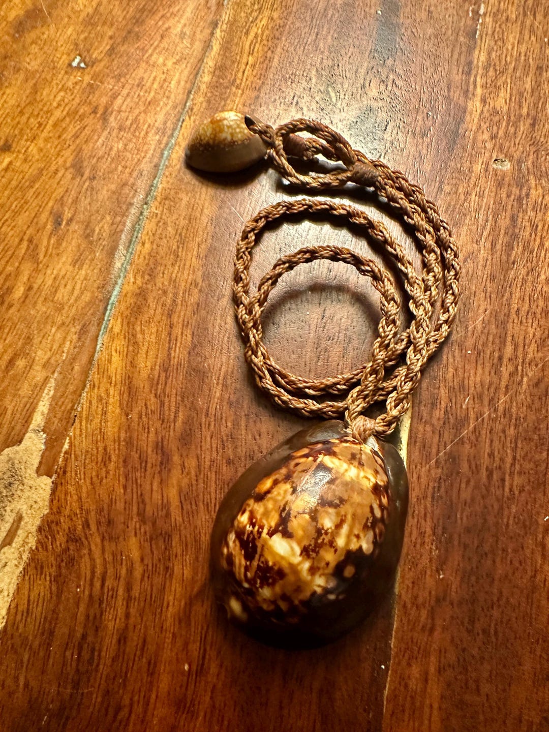 Women’s or Men’s Unique Hawaiian Humpback Cowrie Shell Lei - Etsy