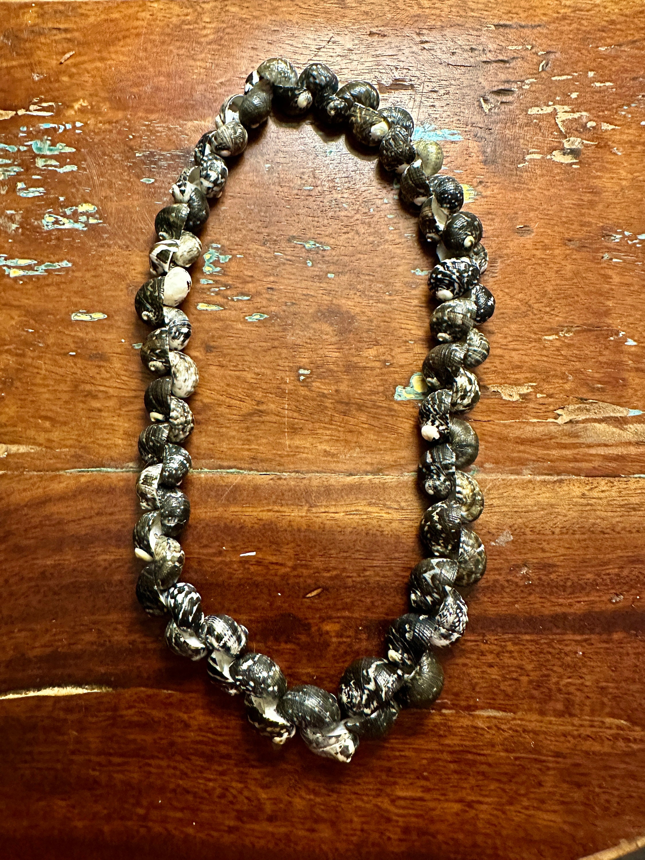 Rare Kupee Shell Hawaiian Style Lei - Etsy