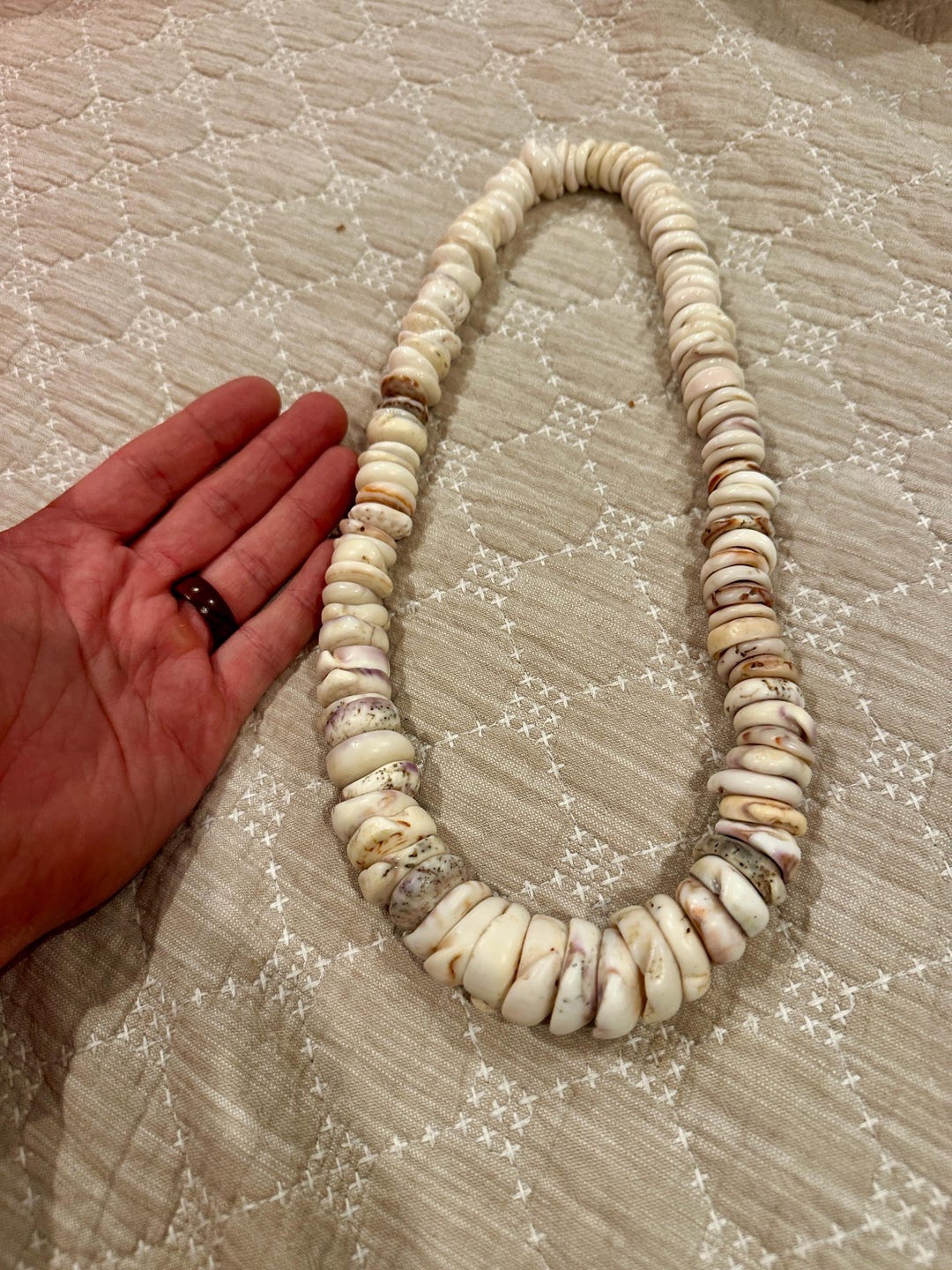 Real Rare XXXL Nearly 400 Gram Hawaiian Natural Puka Shell Lei - Etsy