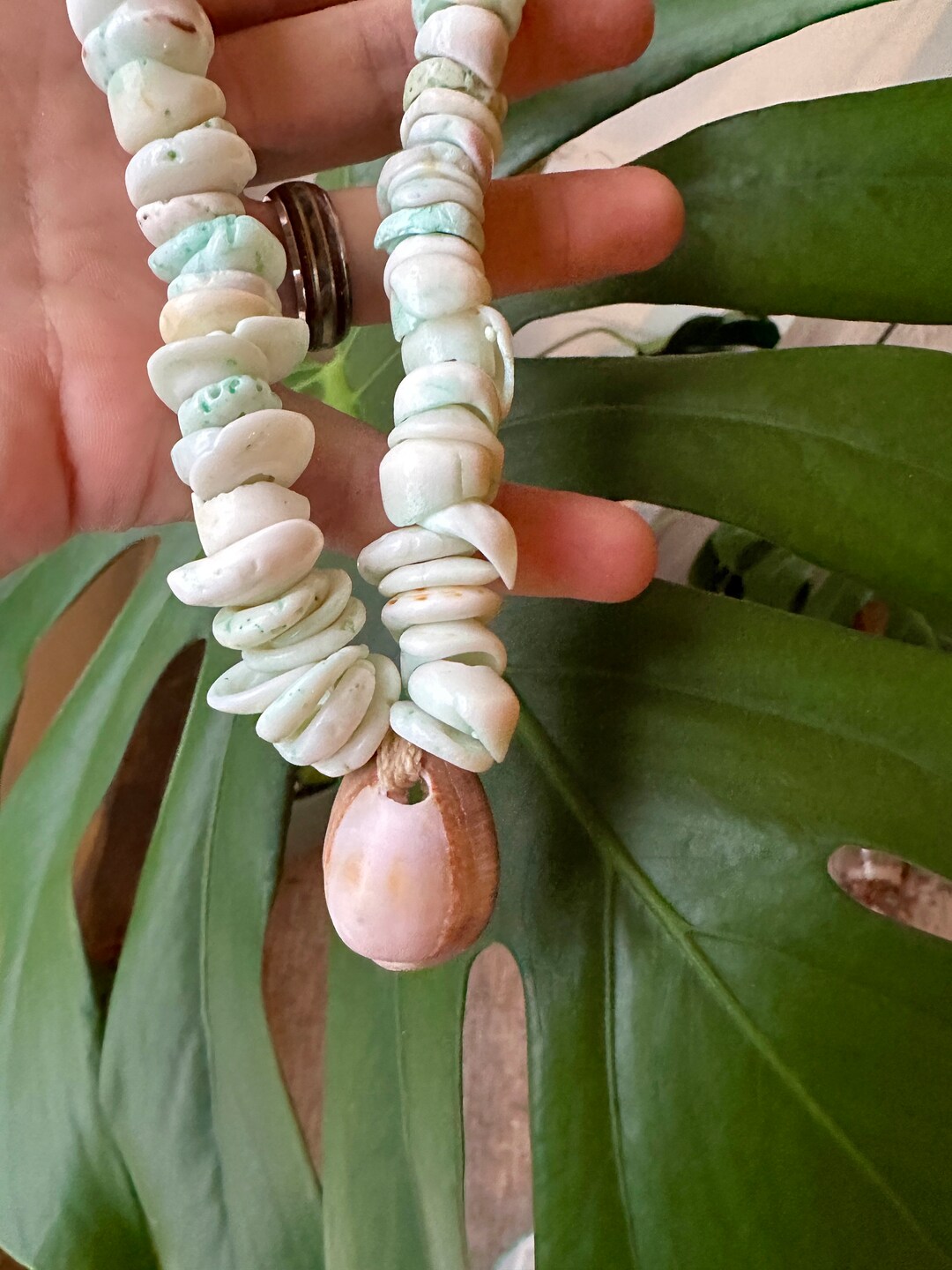 Real Rare Large Hawaiian Puka Shell Pastel Lei With Beautiful Pastel ...