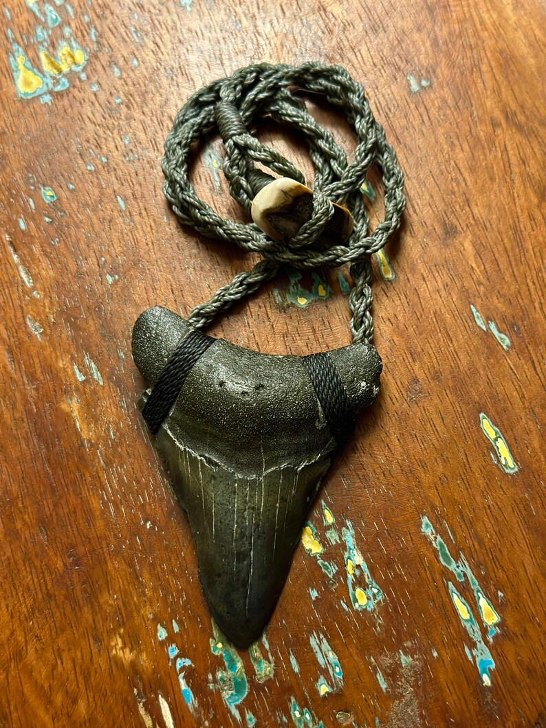 Real Handmade Lei Māno Megalodon Shark Tooth Hawaiian Style - Etsy