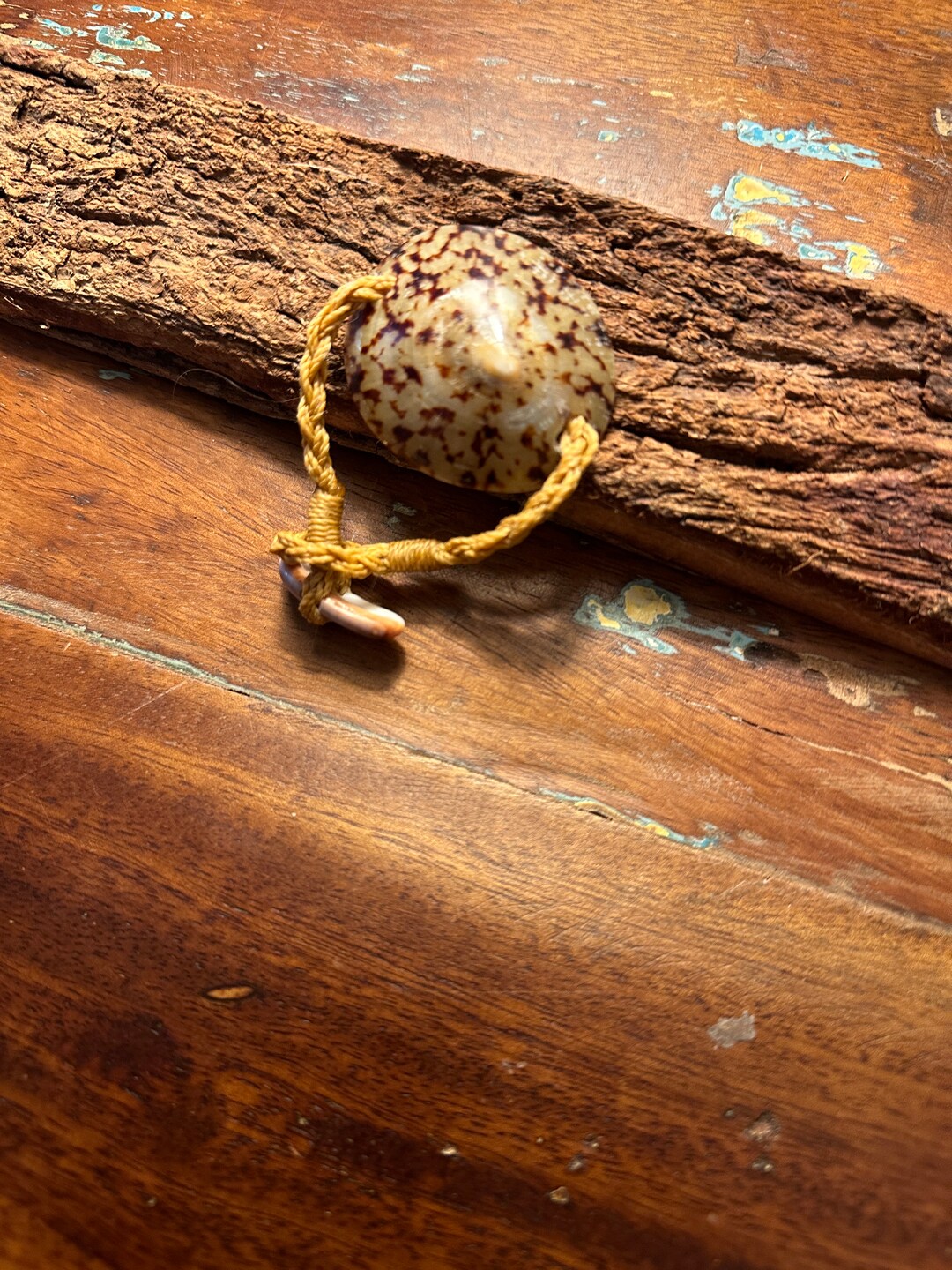 Women’s/childs Hawaiian Opihi Shell Bracelet - Etsy