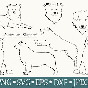 Australian Shepherd Svg Png Aussie Shepherd Aussie Gifts PNG Clipart ...