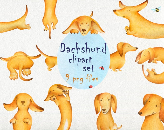 Dachshund Watercolor Clipart Bundle | Sausage Dog PNG, Dog Clipart, Pet ...