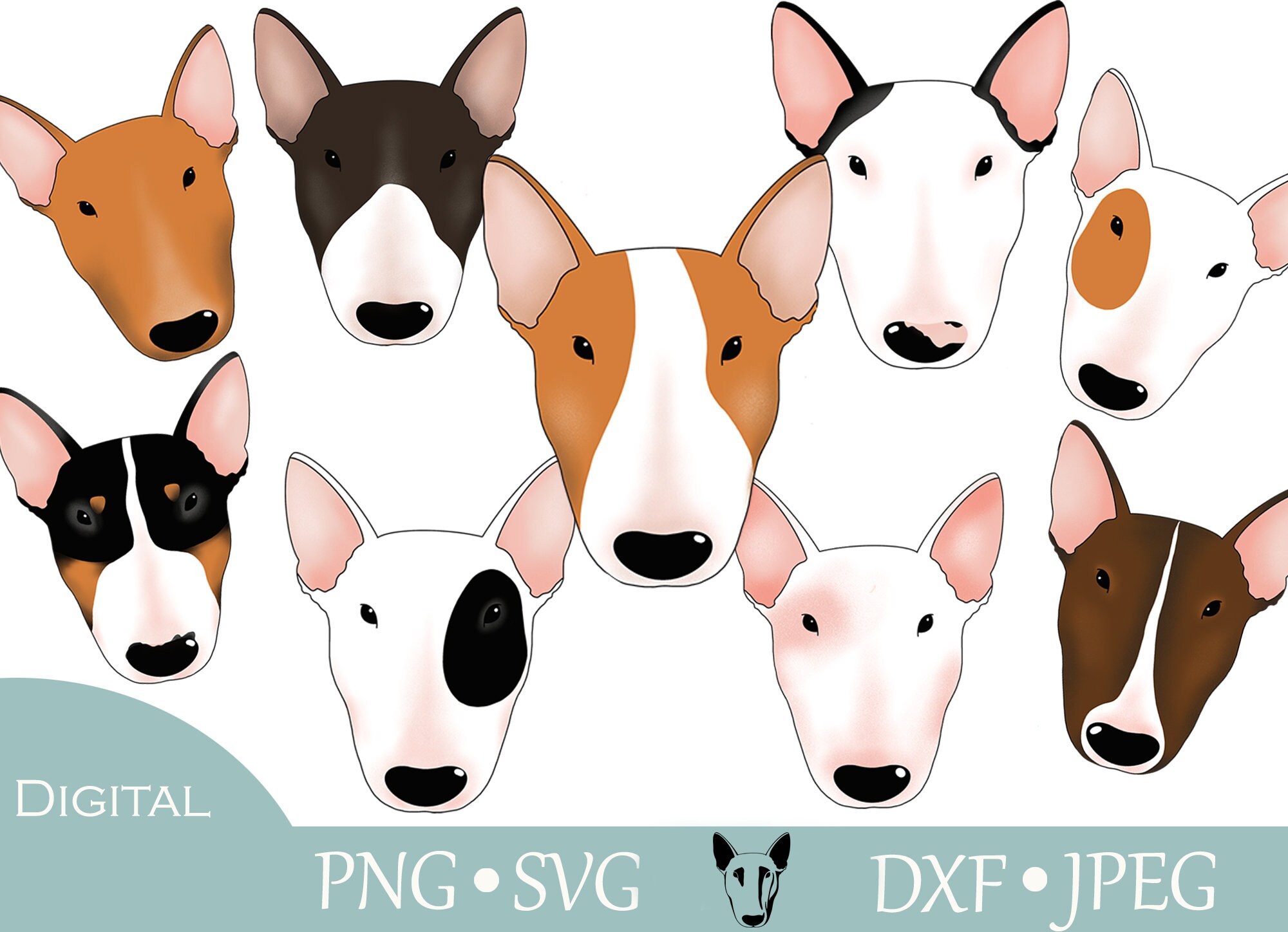 Bull Terrier Head