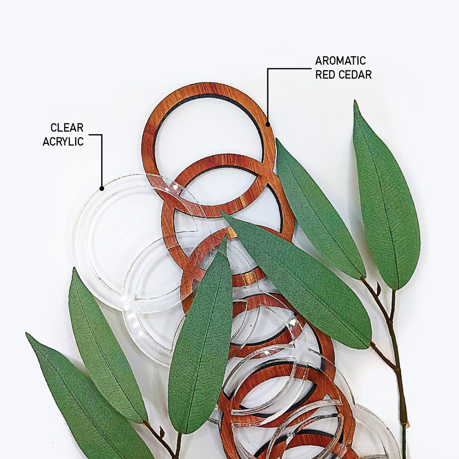 Interlocking Circle Indoor Plant Trellis - Etsy