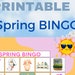 Spring BINGO Printable, Spring Games, Spring PDF Game, Spring FUN ...