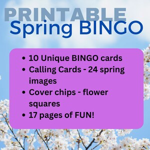 Spring BINGO Printable, Spring Games, Spring PDF Game, Spring FUN ...