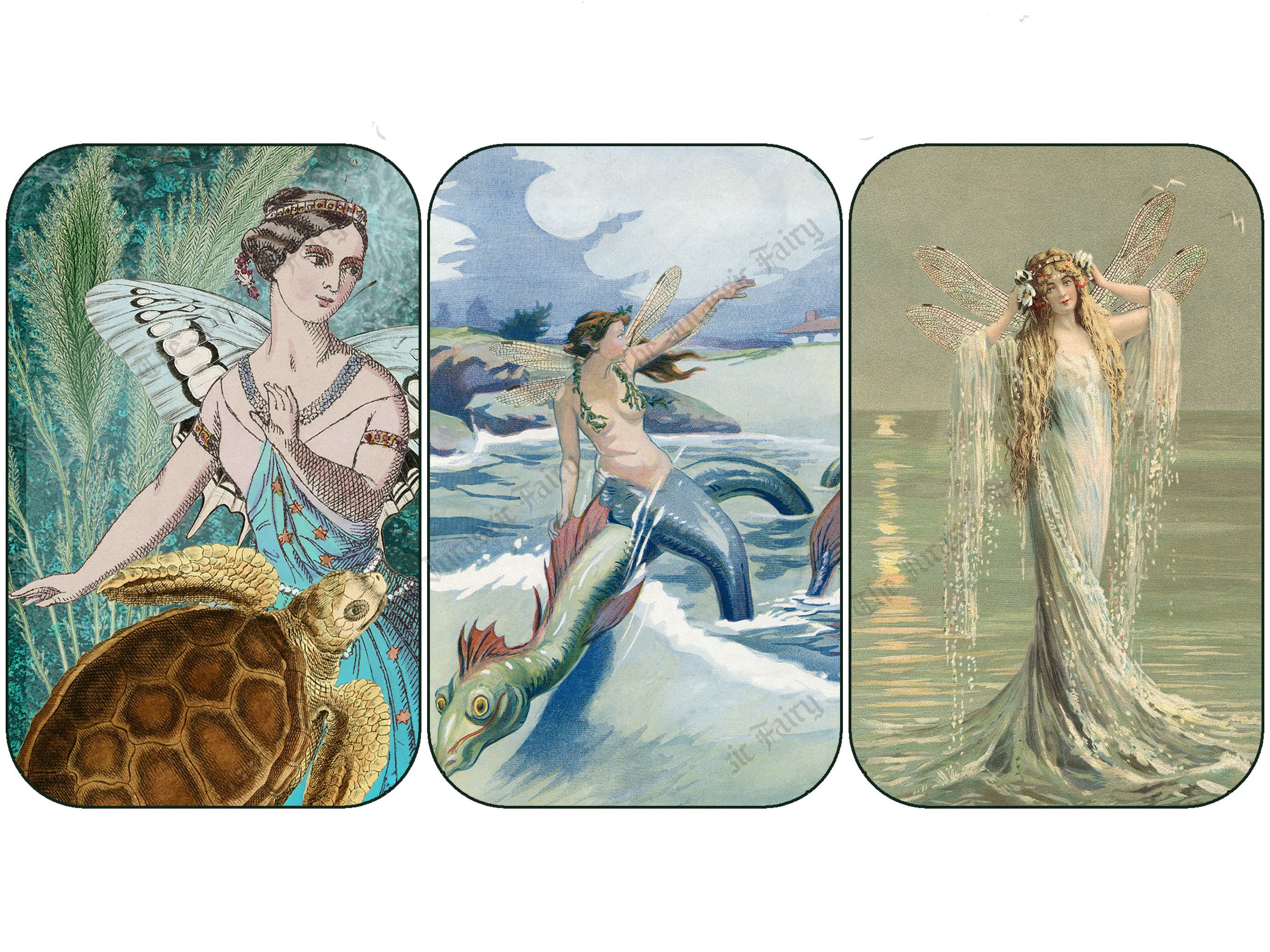 Sea Fairies Altoid Tin Printable Labels With Backgrounds Fairies ...