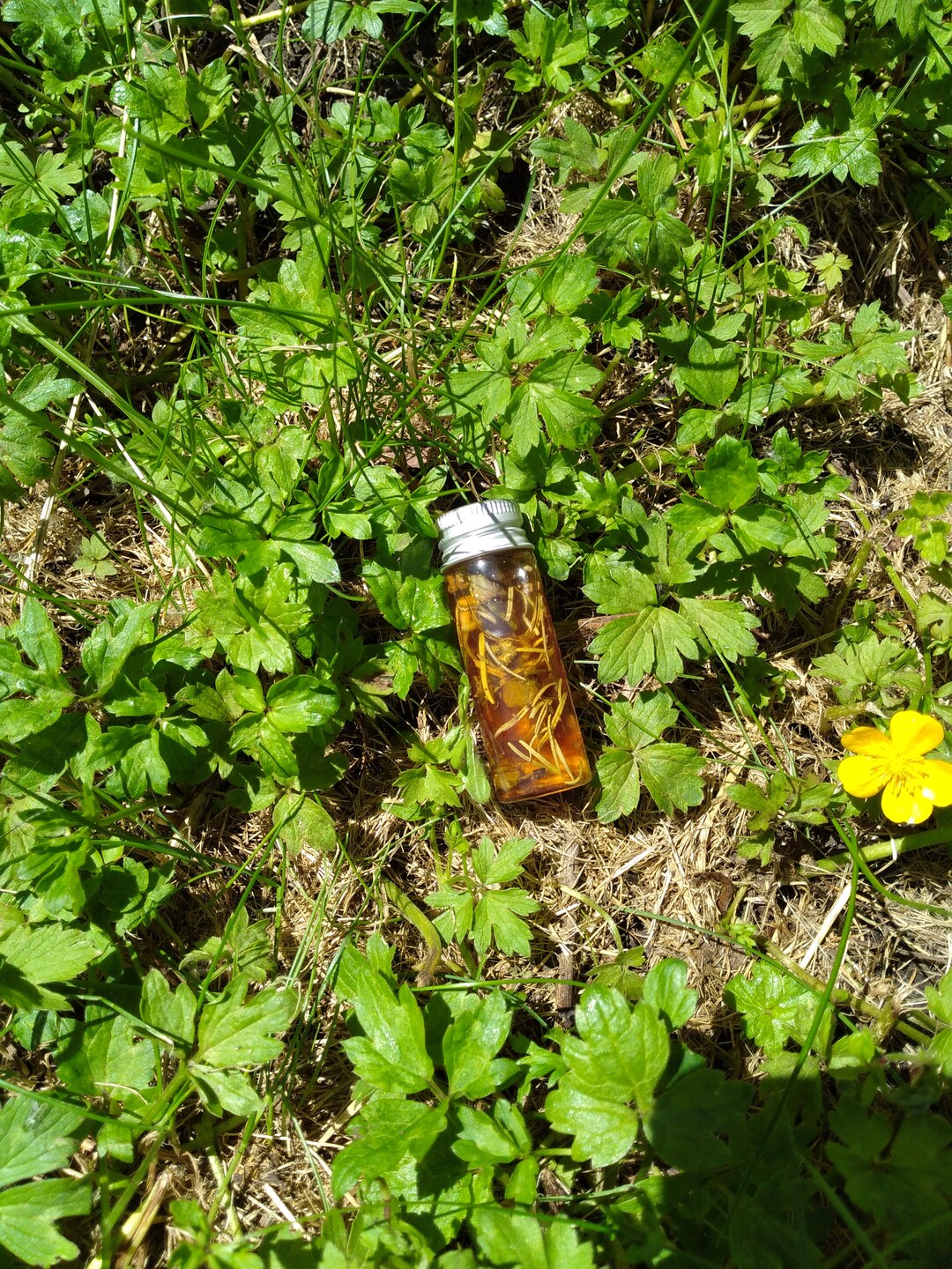 Fiery Wall of Protection Oil - Etsy