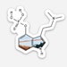 Dopamine Molecule Vinyl Sticker - Etsy