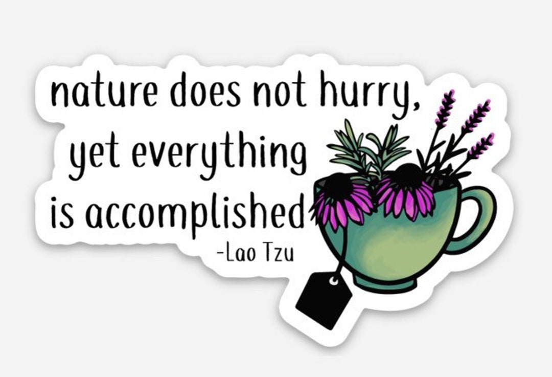 Nature Does Not Hurry Sticker - Etsy