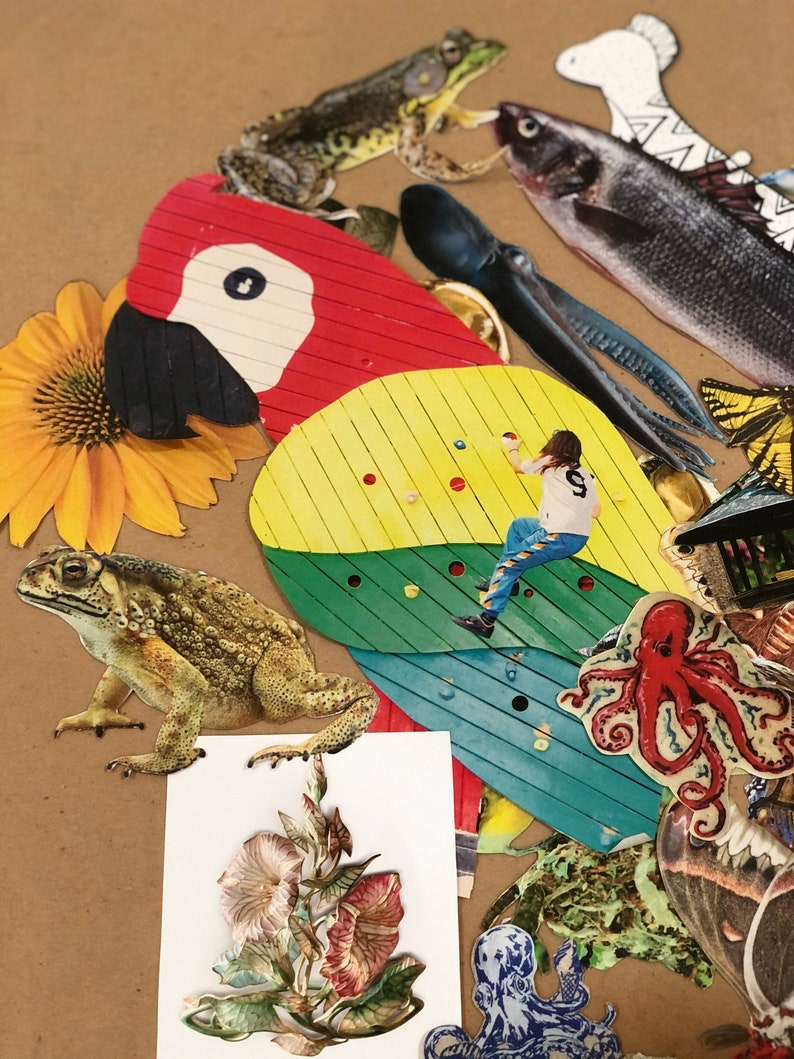 Animals Cut Out, BIRDS Cut Out, Collage Kit, Limited Edition, DIY ...