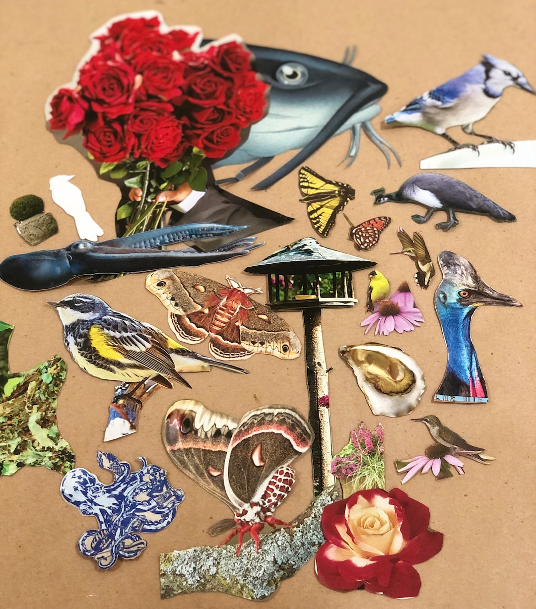 Animals Cut Out, BIRDS Cut Out, Collage Kit, Limited Edition, DIY ...