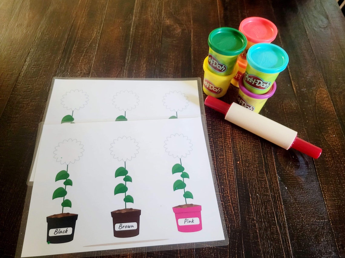 Color Matching Play Dough Mats Printable Preschool Activities | Etsy