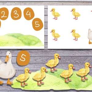 Duck Themed Preschool Learning Bundle, Printable Activity, Preschool ...
